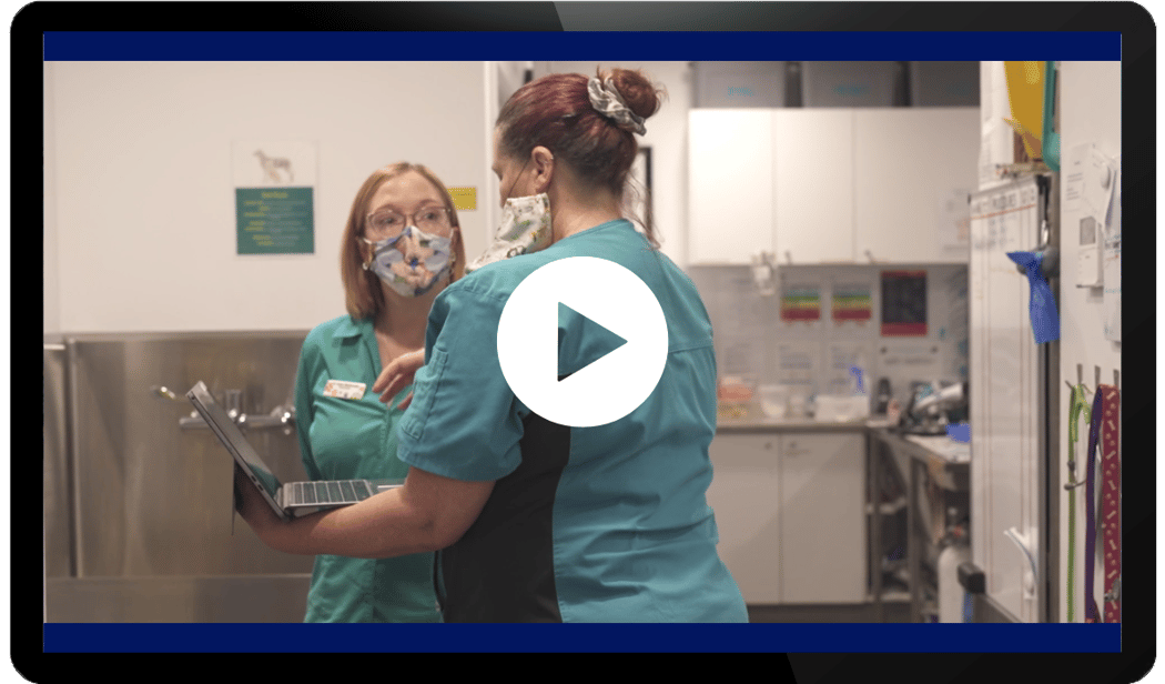 Covetrus - leading veterinary practice management software for all ...